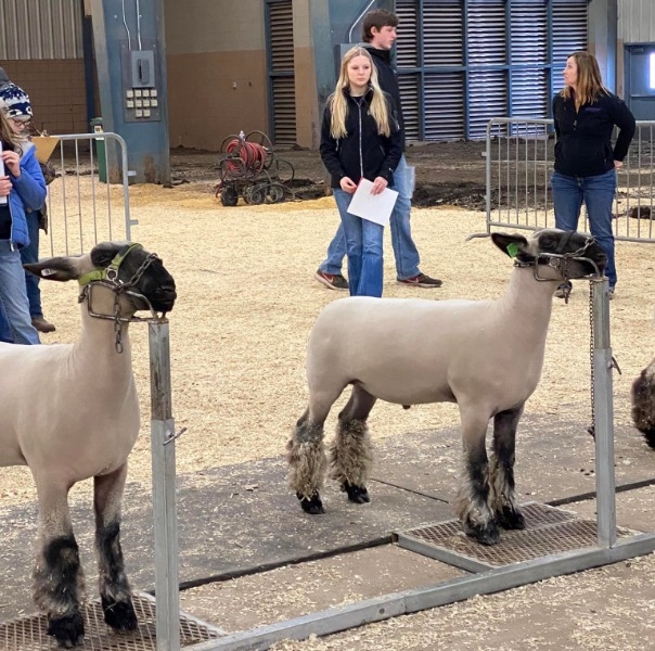 Central Lyon CSD - FFA Livestock Judging